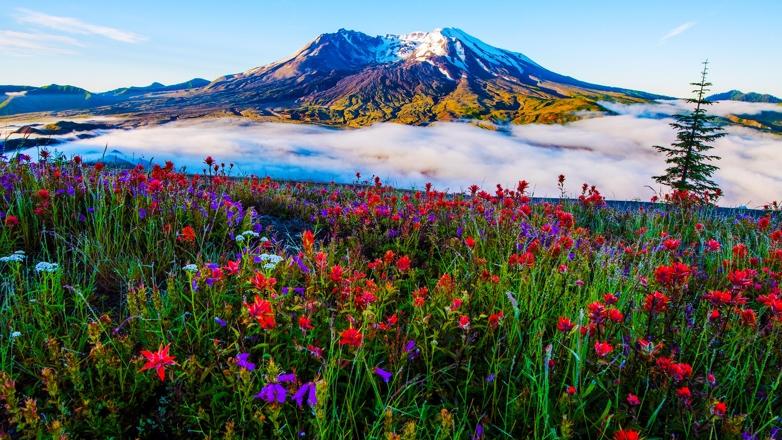 Emlékszel a St. Helens -hegyre? Miért esett le a térképről, és miért van ideje visszamenni ...